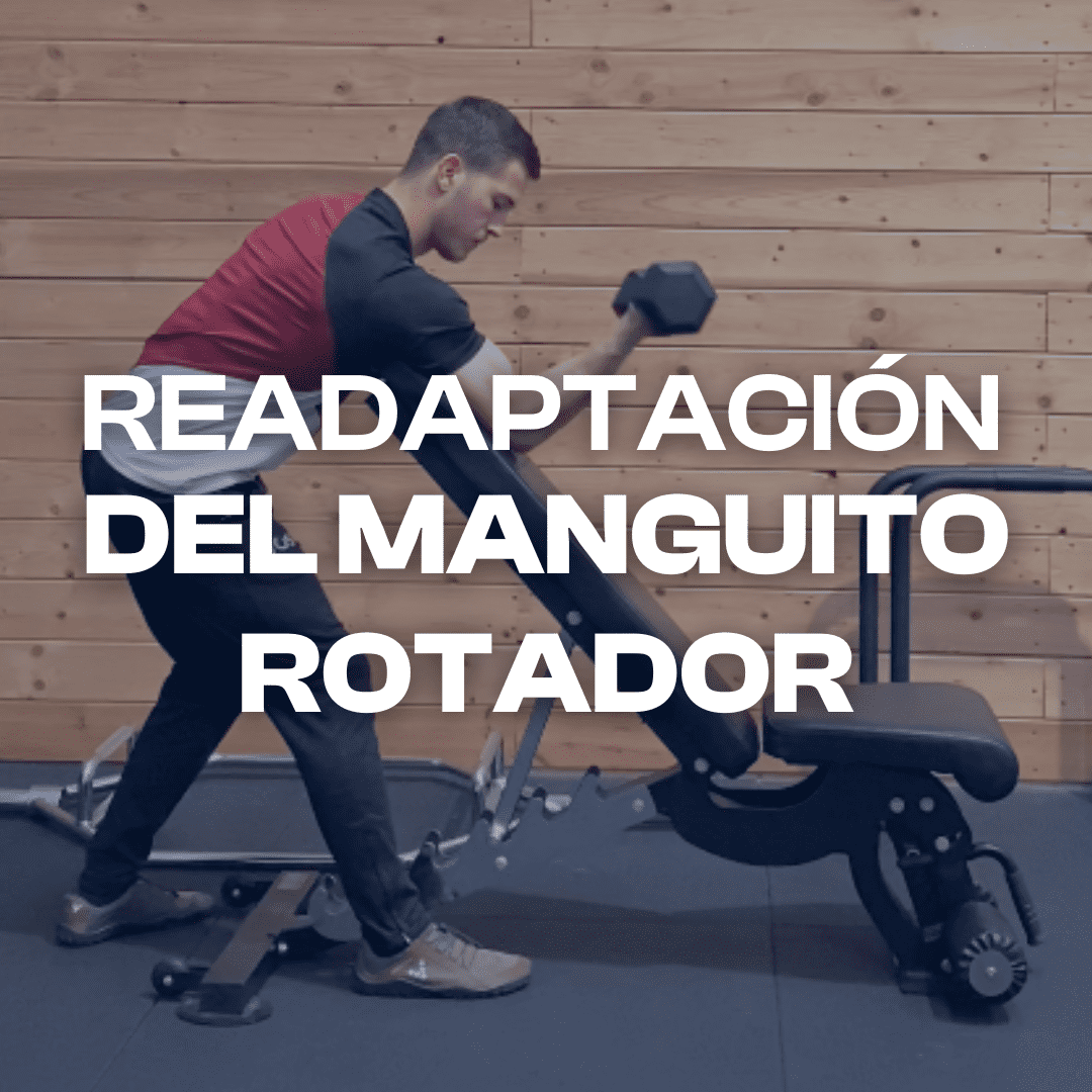 Curso Manguito Rotador: Readaptación Online - En Forma